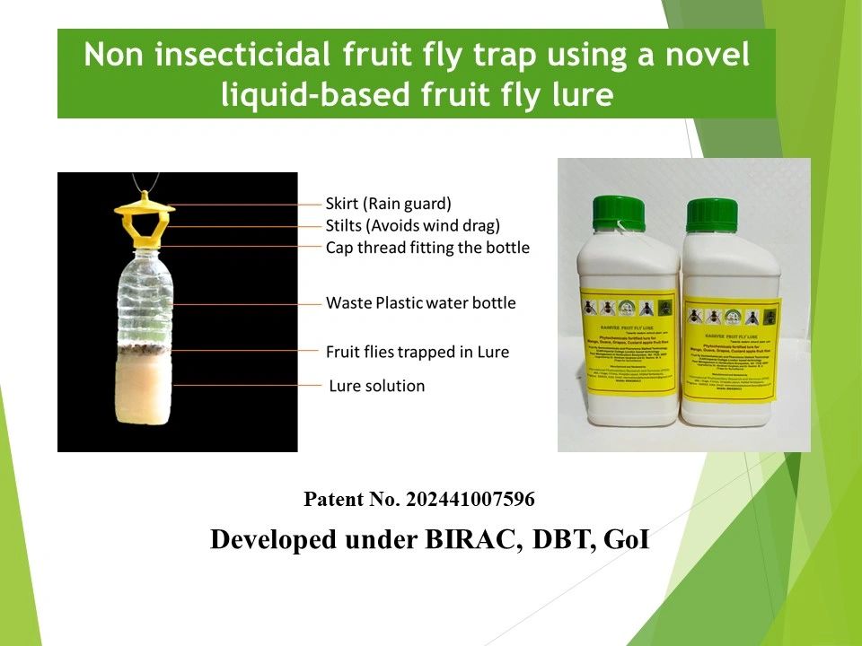 New Paradigms in the Management of Fruit Flies in Mango