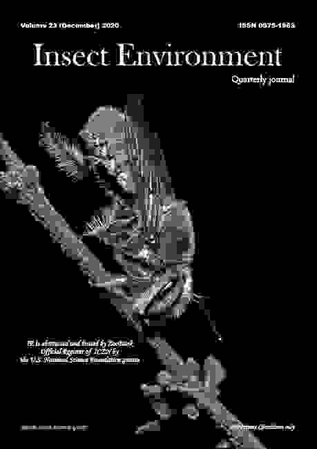 Insect Environment - Home