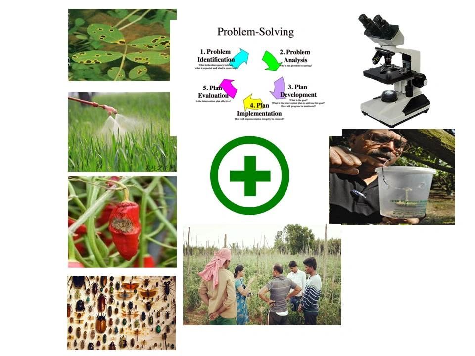 Plant Health Clinics-As an entrepreneurship