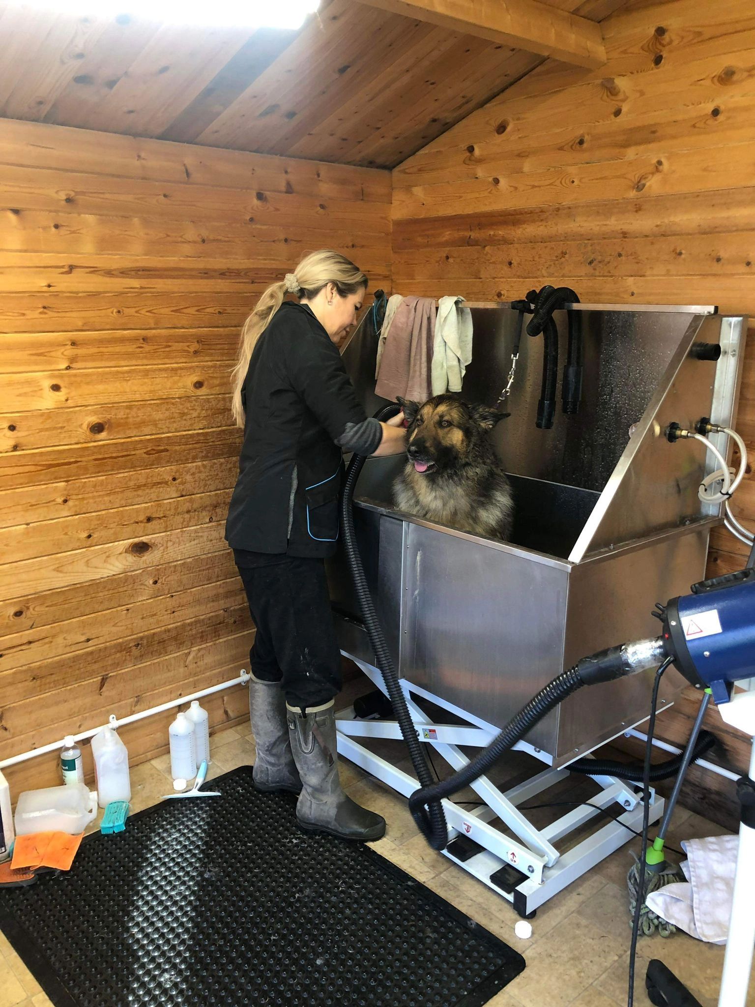 Professional Dog Grooming Services