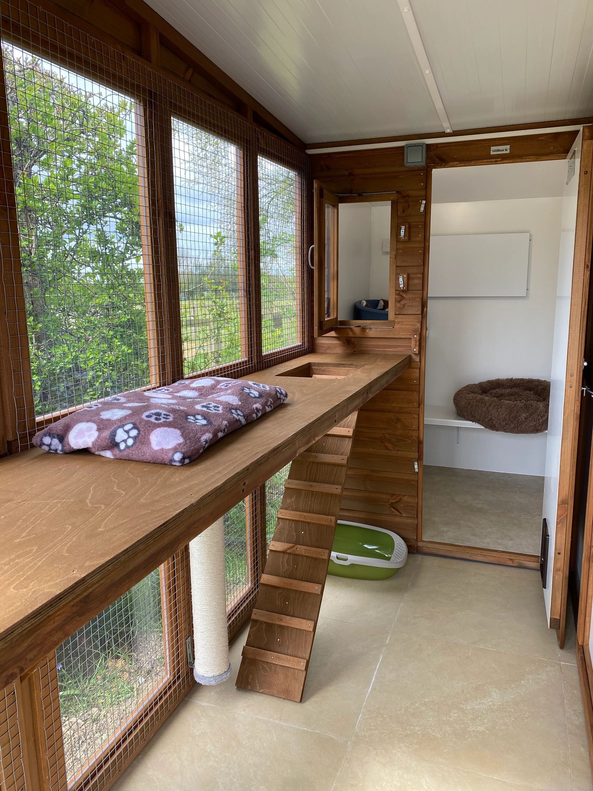 Luxury Cat Boarding at Hazelwood Boarding Cattery