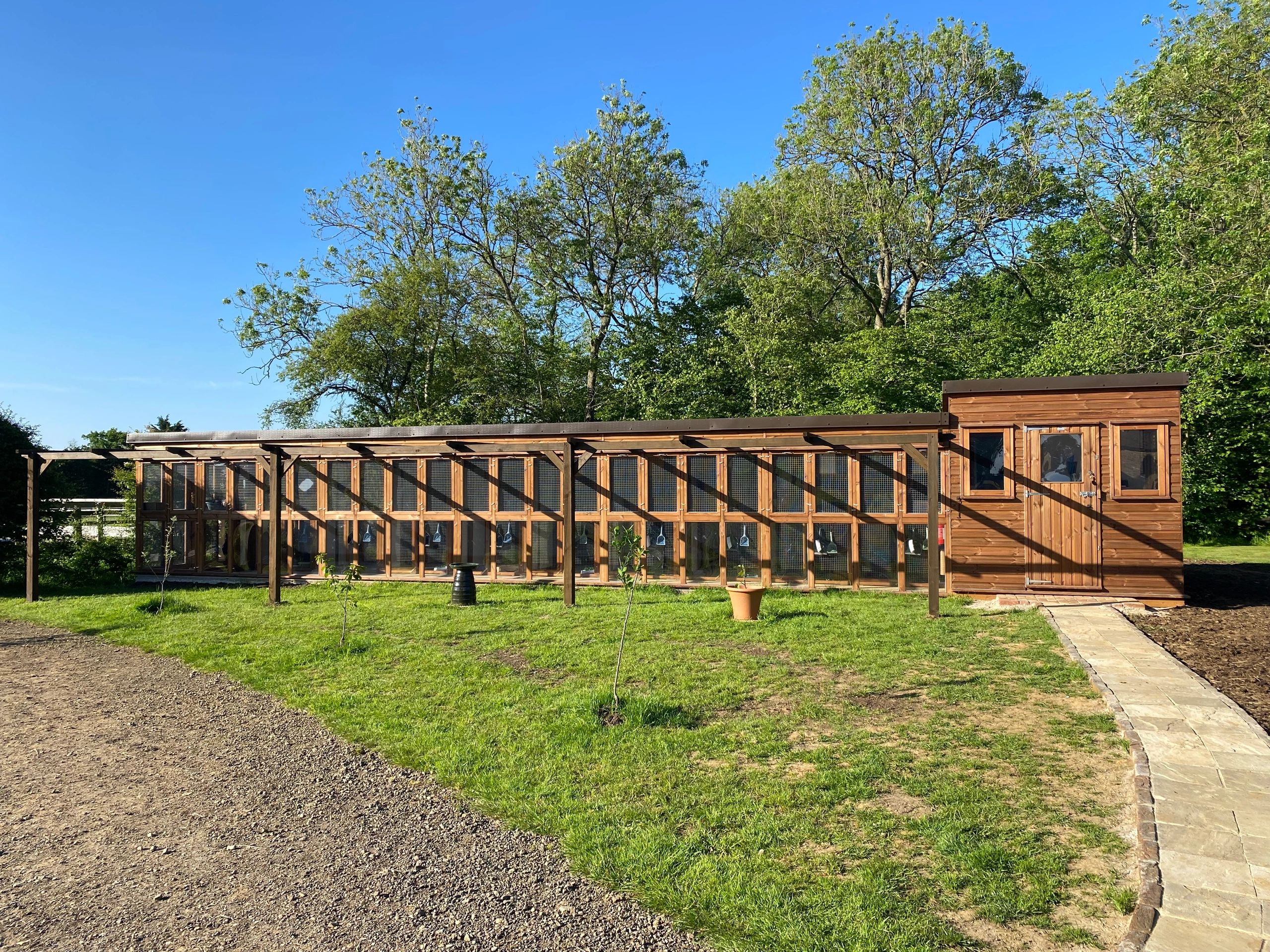 Luxury Cat Boarding at Hazelwood Boarding Cattery
