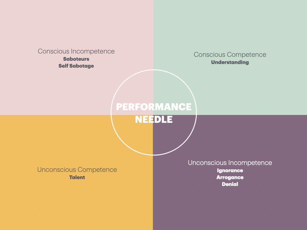 Competency in high performance sport - 'Moving the Needle'
