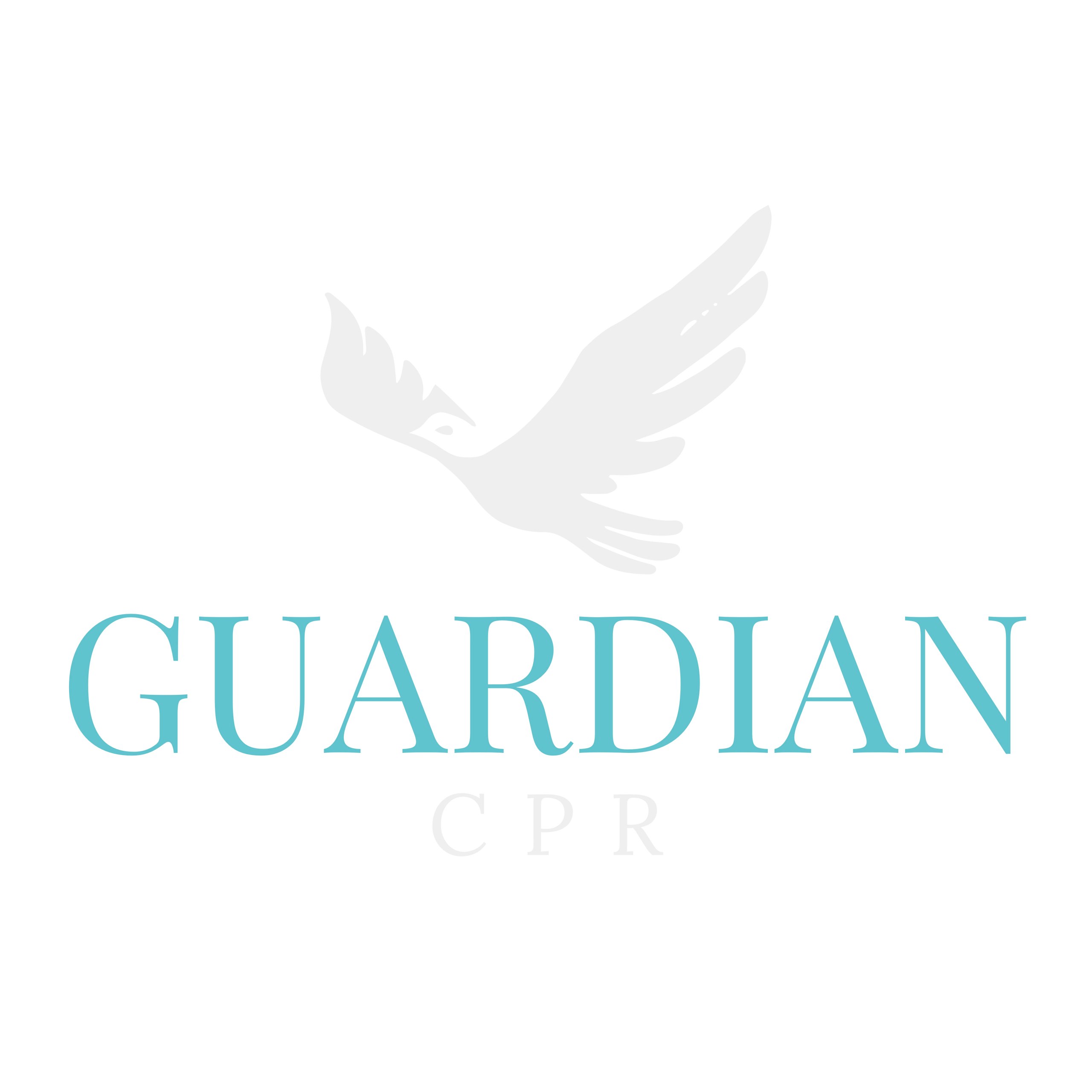 Guardian CPR - Become A, Red Cross Instructor, CPR Instructor Course