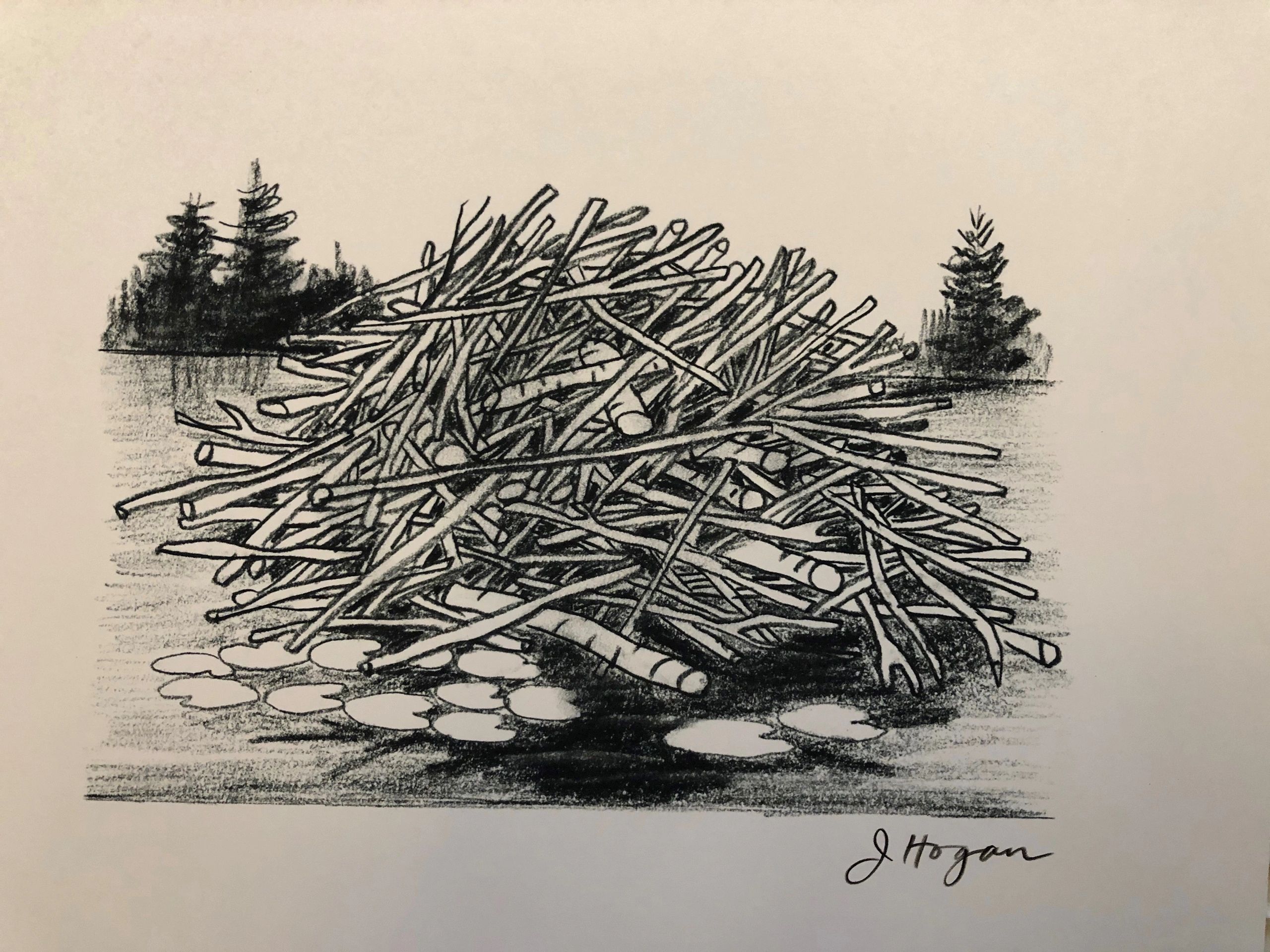 Beaver Lodge Diagram