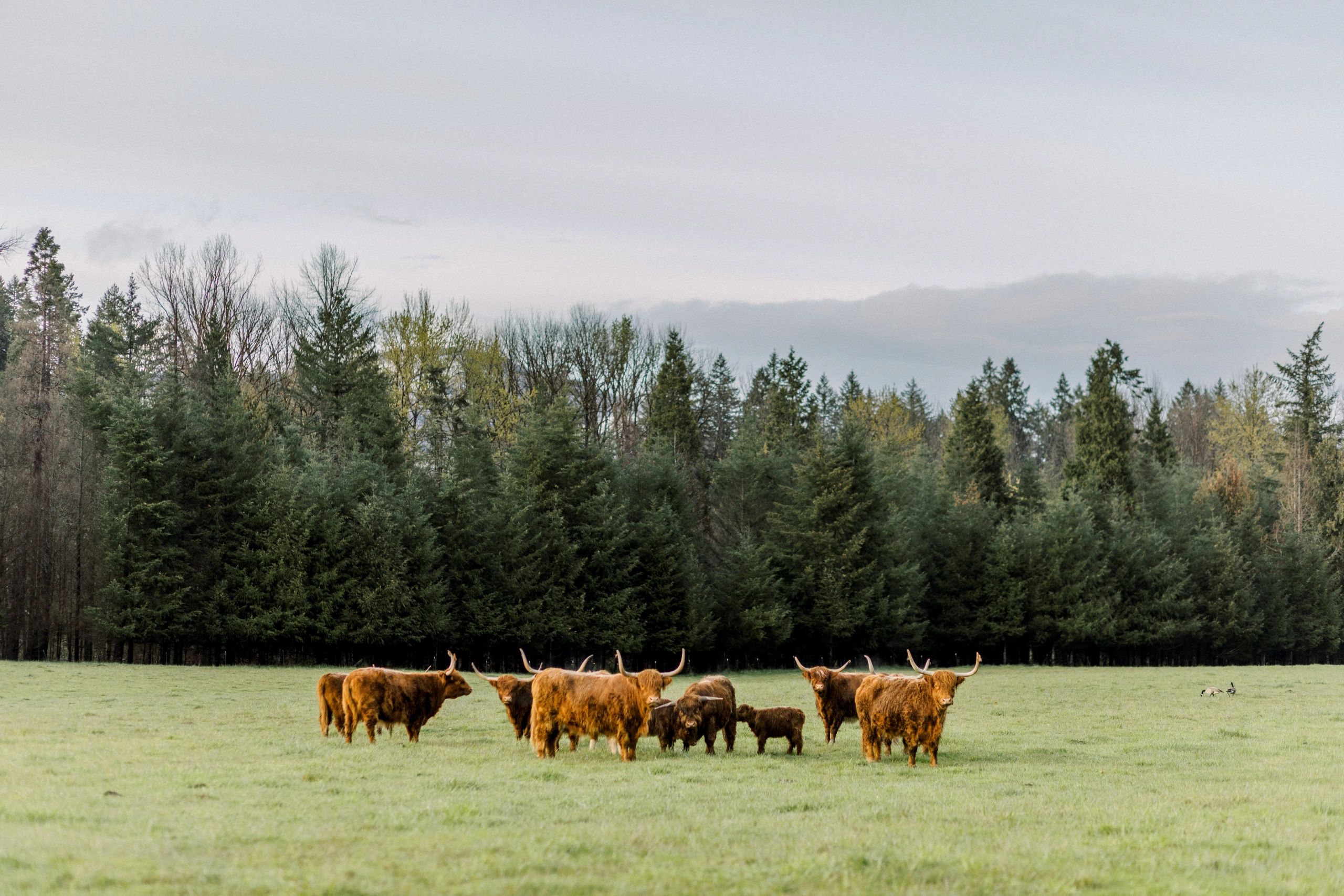 Wedding Venue - Whitewater Ranch Weddings