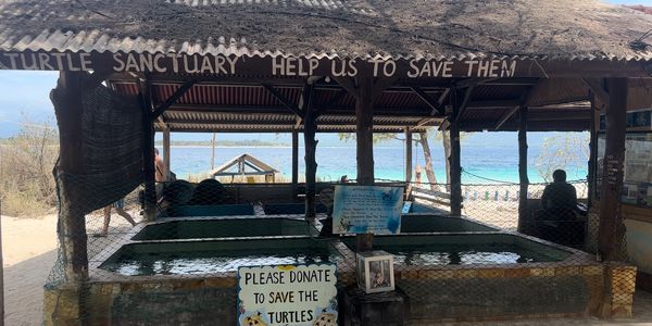 Gili Turtle Sanctuary