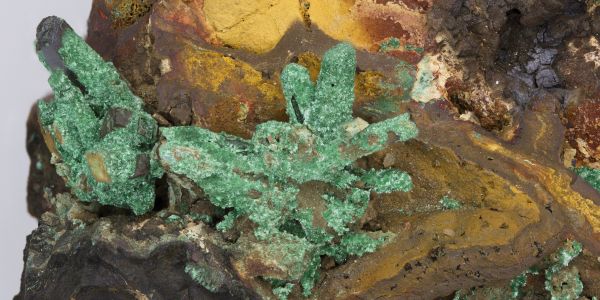 Pristine Minerals