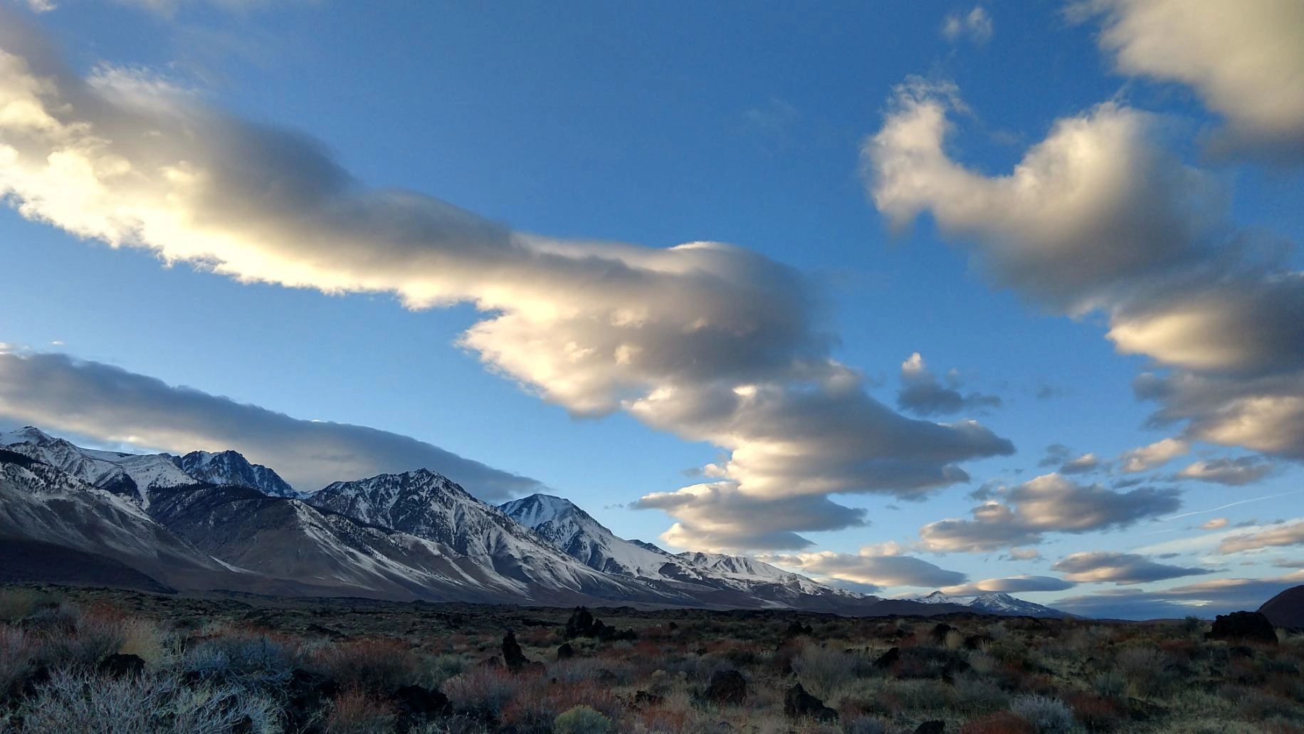 Kline Consulting LLC