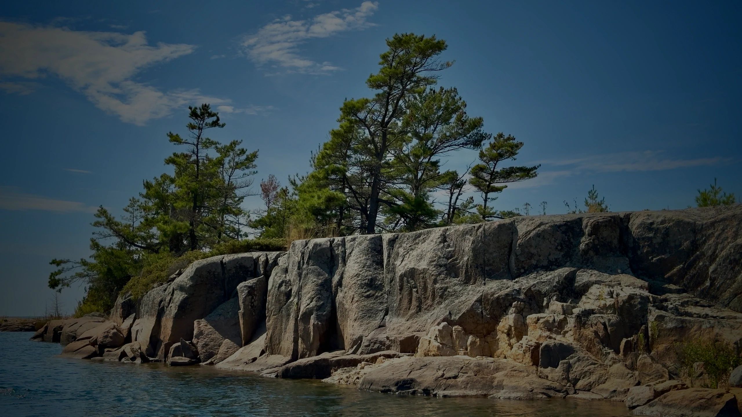 The SHIELD Score | The Canadian SHIELD Institute