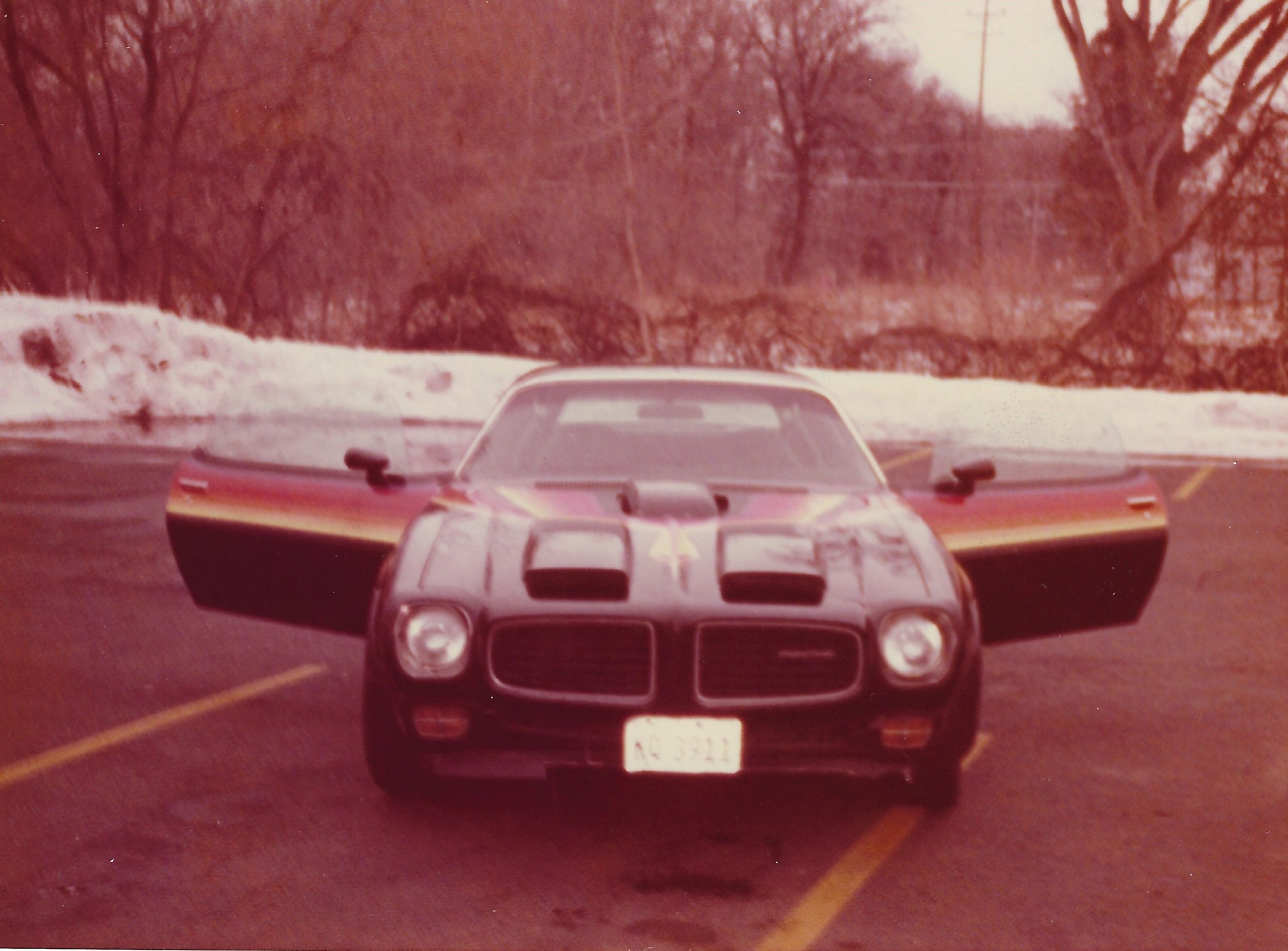Corvette Summer Firebird