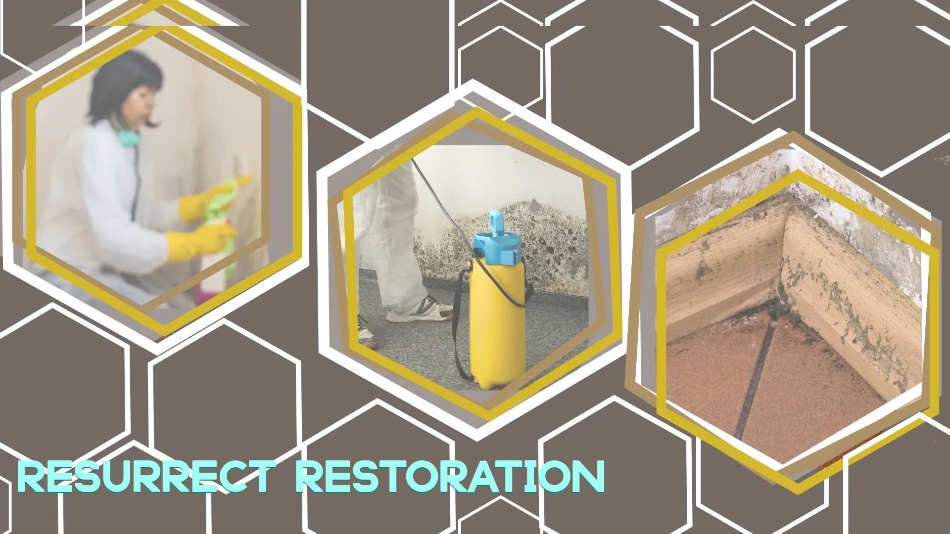 Resurrect - Fire, Water and Mold Damage, Restoration, Remediation
