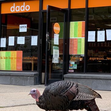 Dado Tea - Healthy Meals, Bubble Tea and Coffee, Healthy Fast Food