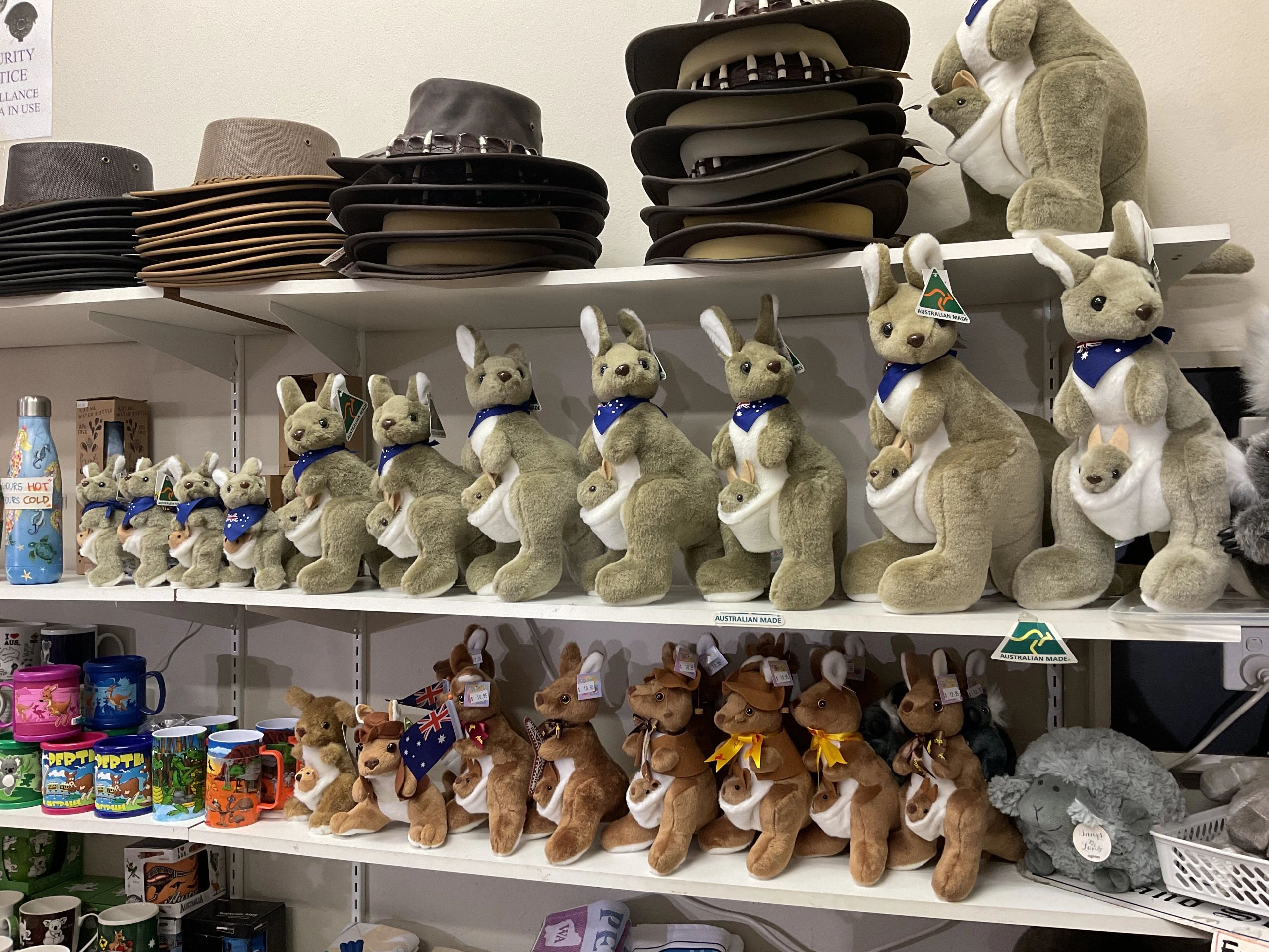 Find the Best Perth Souvenirs at Julia's Gifts and Souvenirs