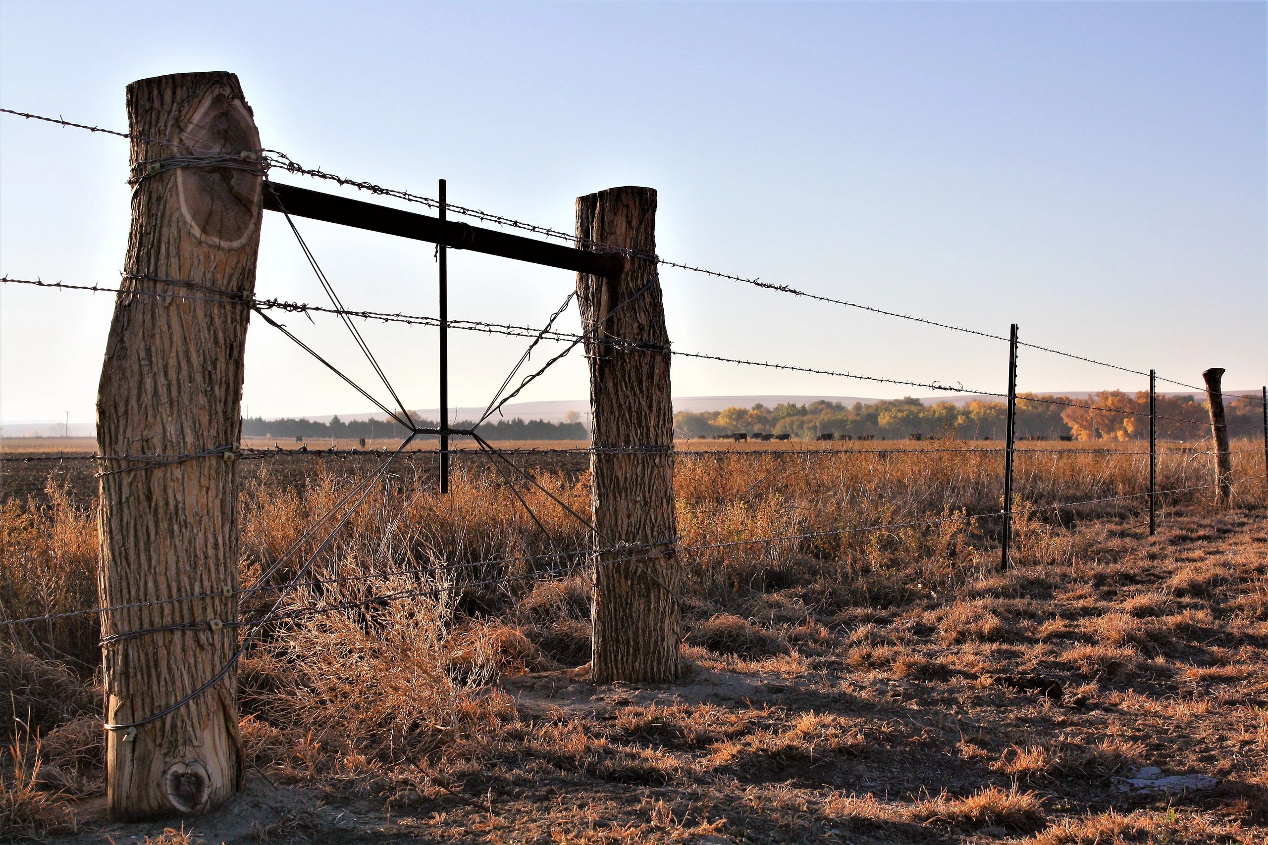 Cardinal Contracting - Home