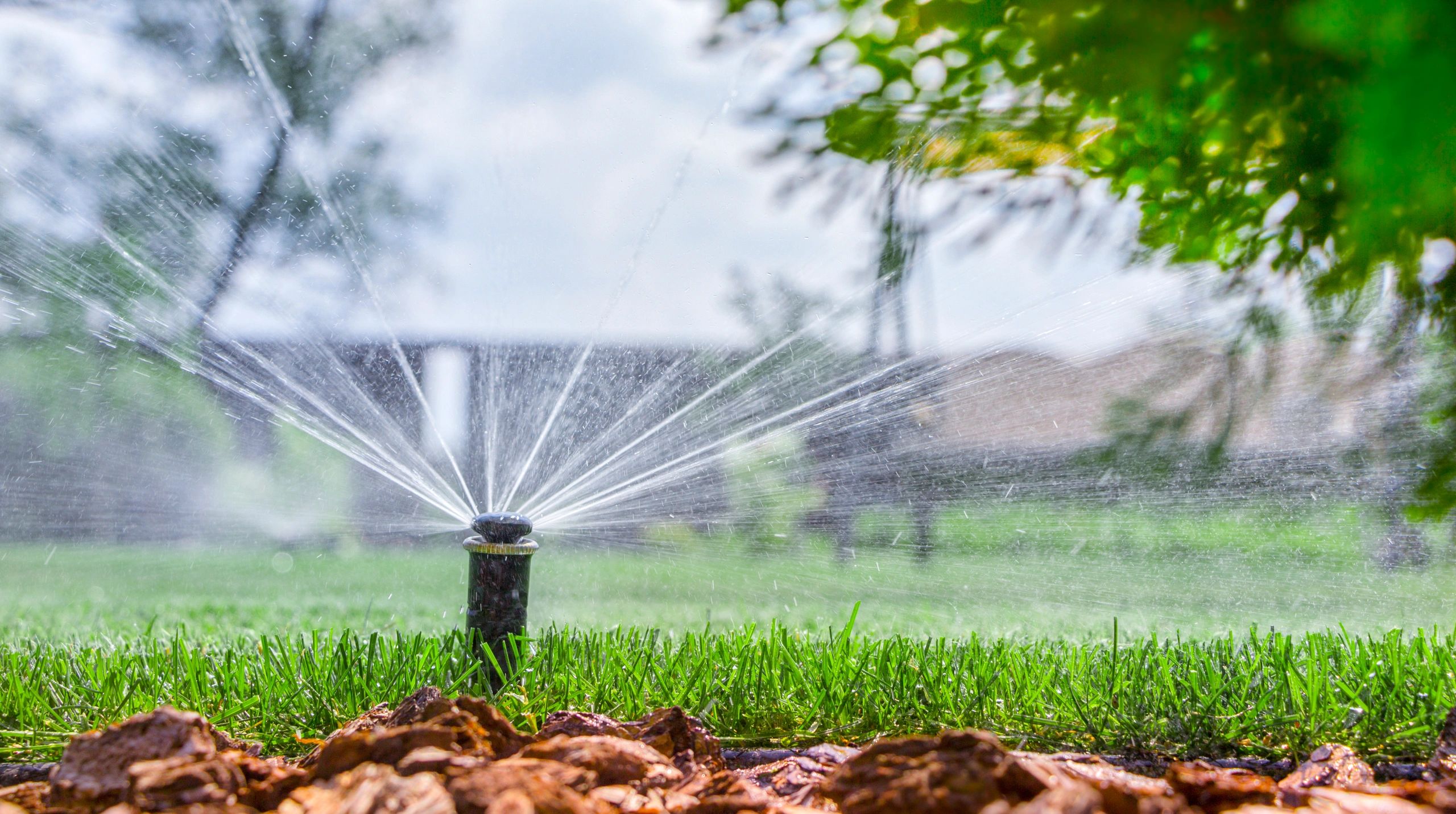 Trinity Flow Irrigation