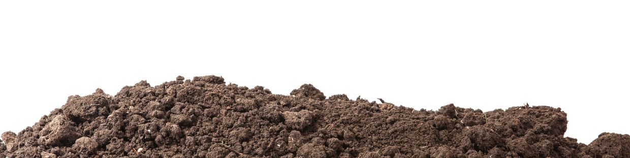 Waste Classification - Earthwise Environmental Consultants