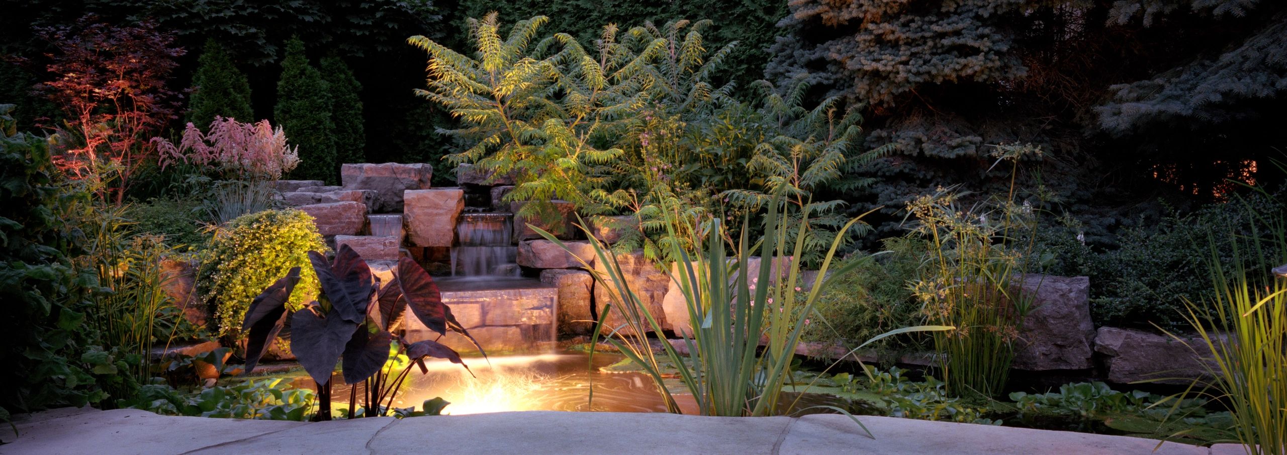 Altus Landscape + Design Inc. - Home