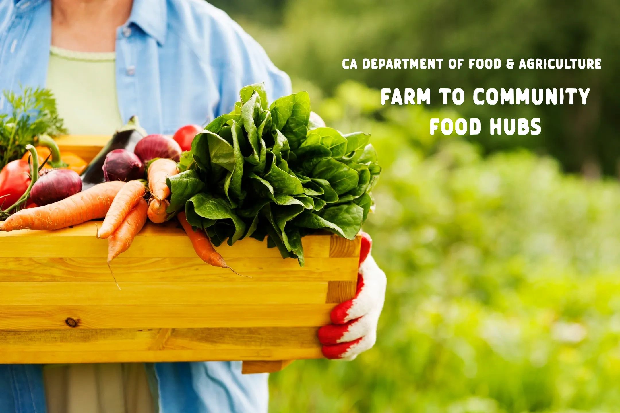 CDFA Farm to Community Food Hubs Grant Program
