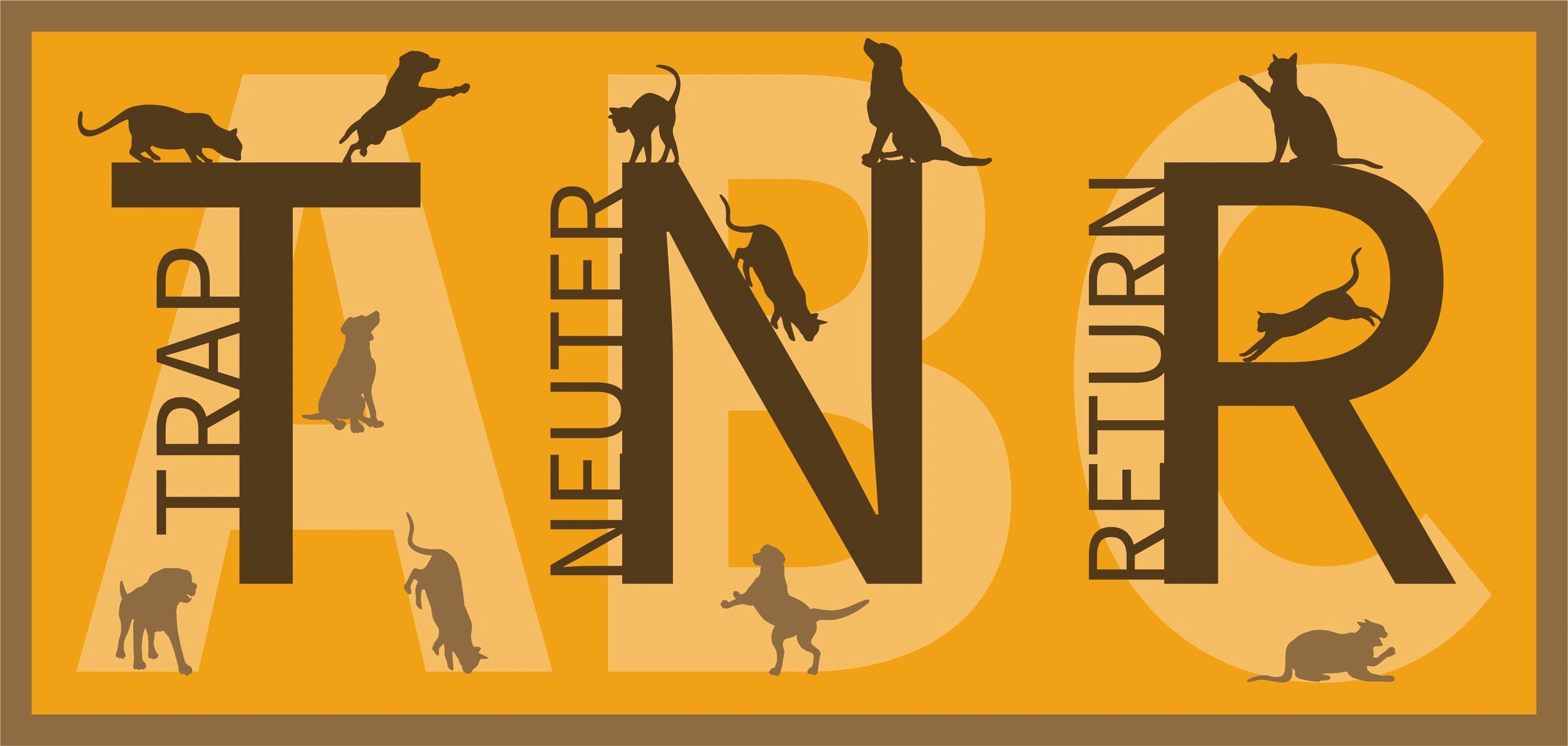 Male Dog vs. Female Dog