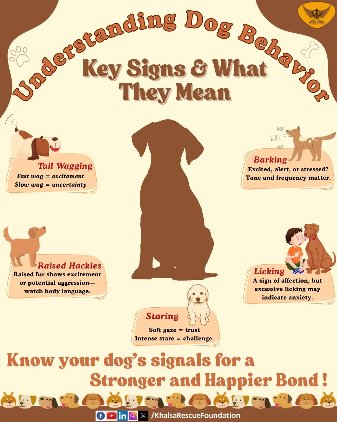 Understanding Dog Behavior: Common Signs and What They Mean