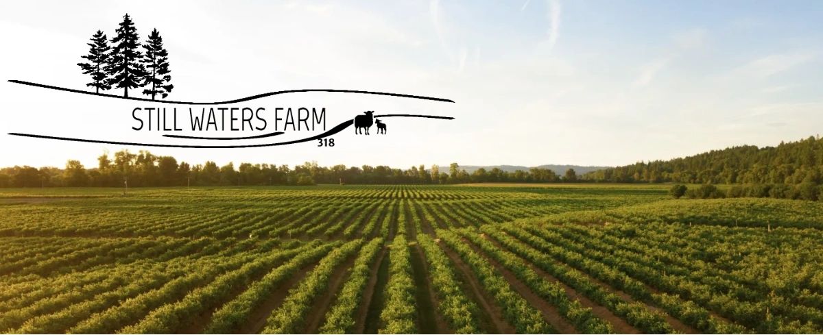 Still Waters Farm