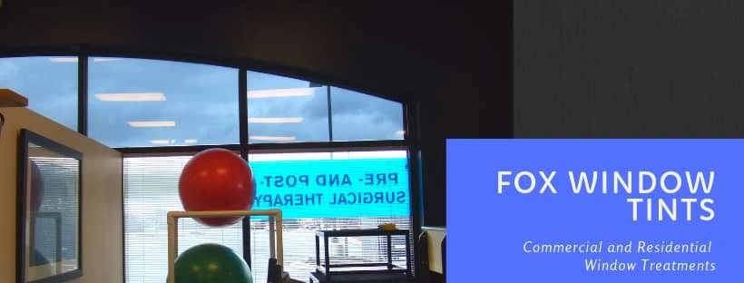 Fox Window Tints