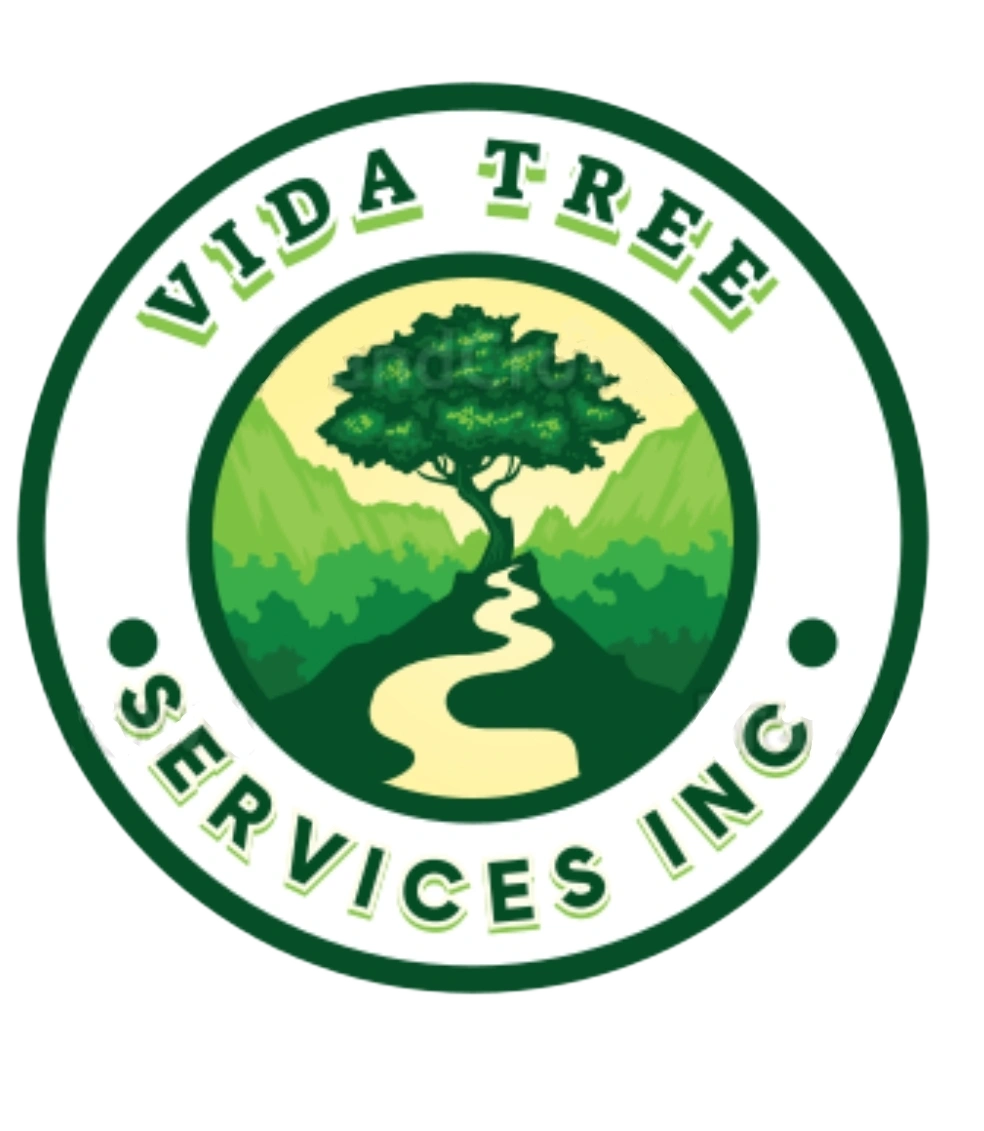 Vida Tree - Professional Tree Care, Tree Specialist, Tree