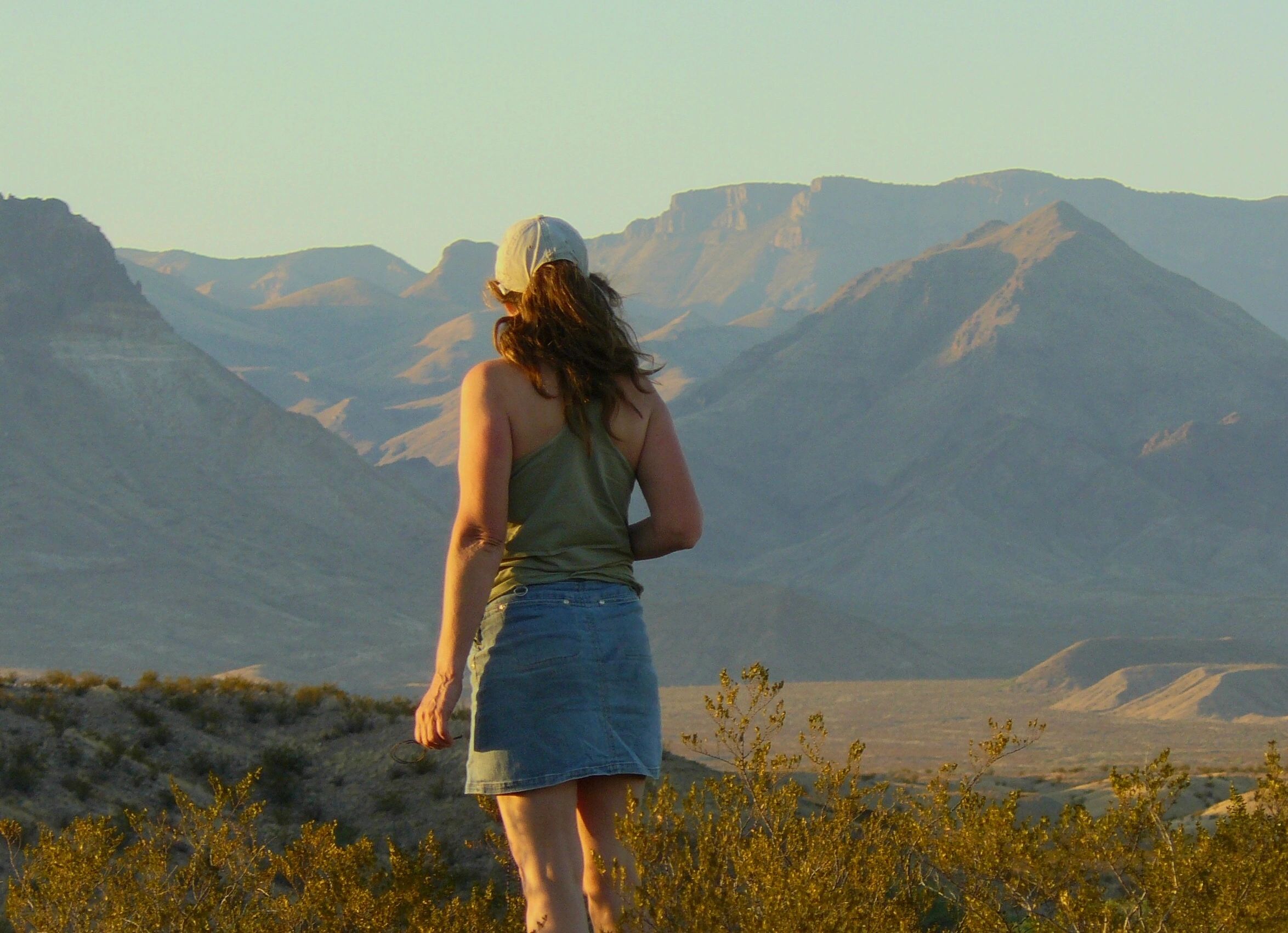 nancywhitlockart.com