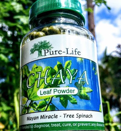 Pure Life - Superfood Supplements, Organic Chaya | Pure Life