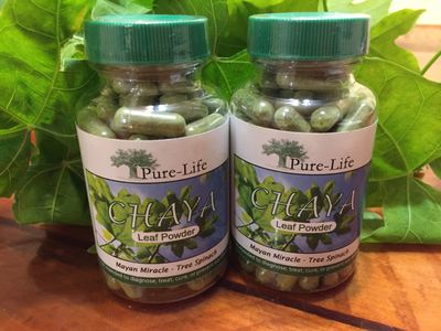 Pure Life - Chaya Supplements, Tree Spinach, Healthy Food | Pure Life