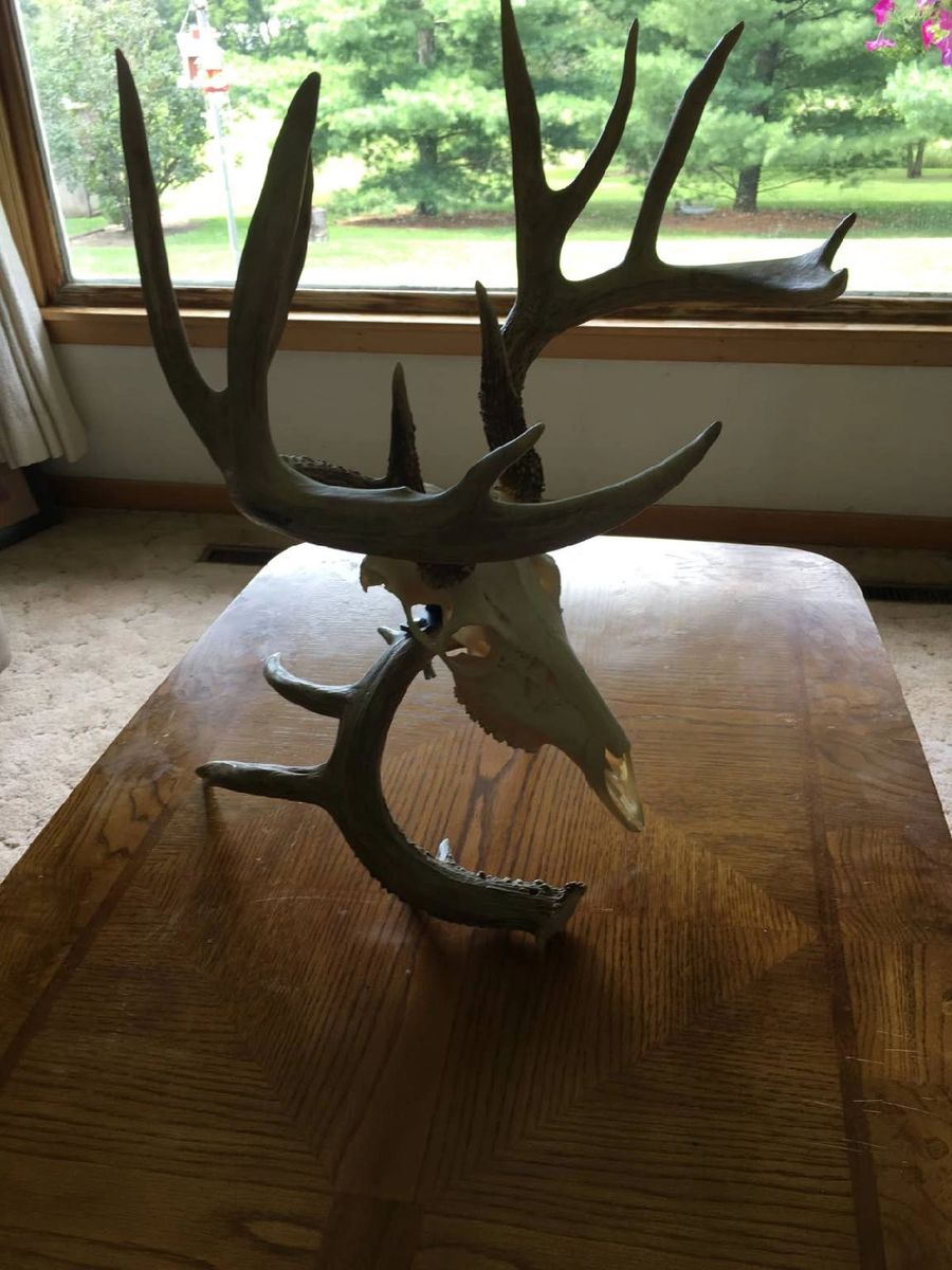 Skull Hangers