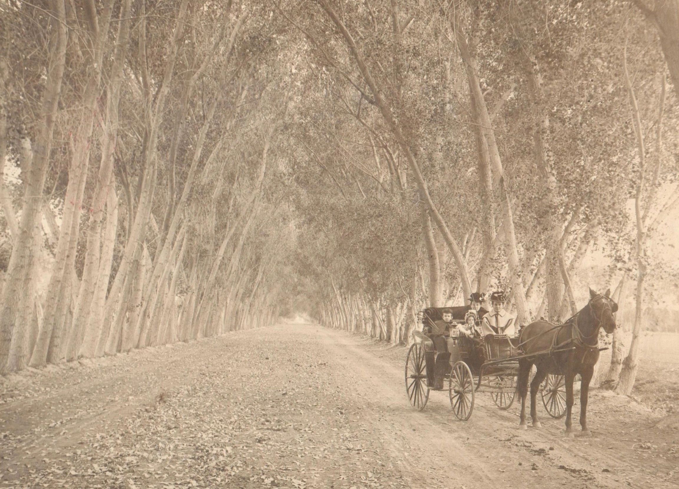 Thomas Jefferson Jordan