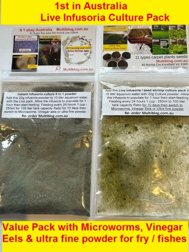 Live Infusoria Culture pack Ship Australia Wide
