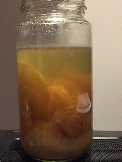 How to culture VinegarEel