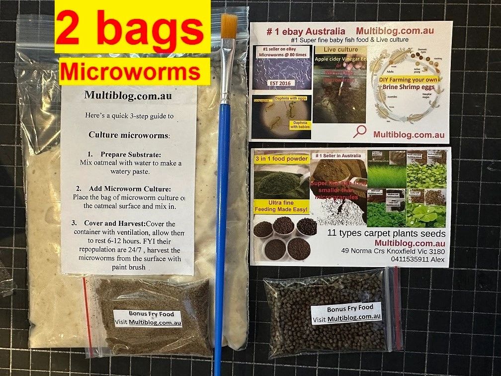 Microworms Vinegar Eels Bananaworms Value bag live fish food