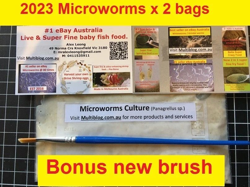 Microworms Vinegar Eels Bananaworms Value bag live fish food