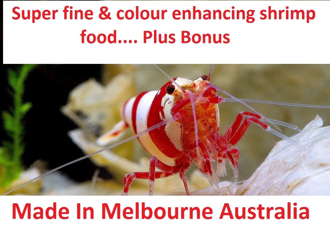 Super fine shrimp food Bonus with Premium pellets