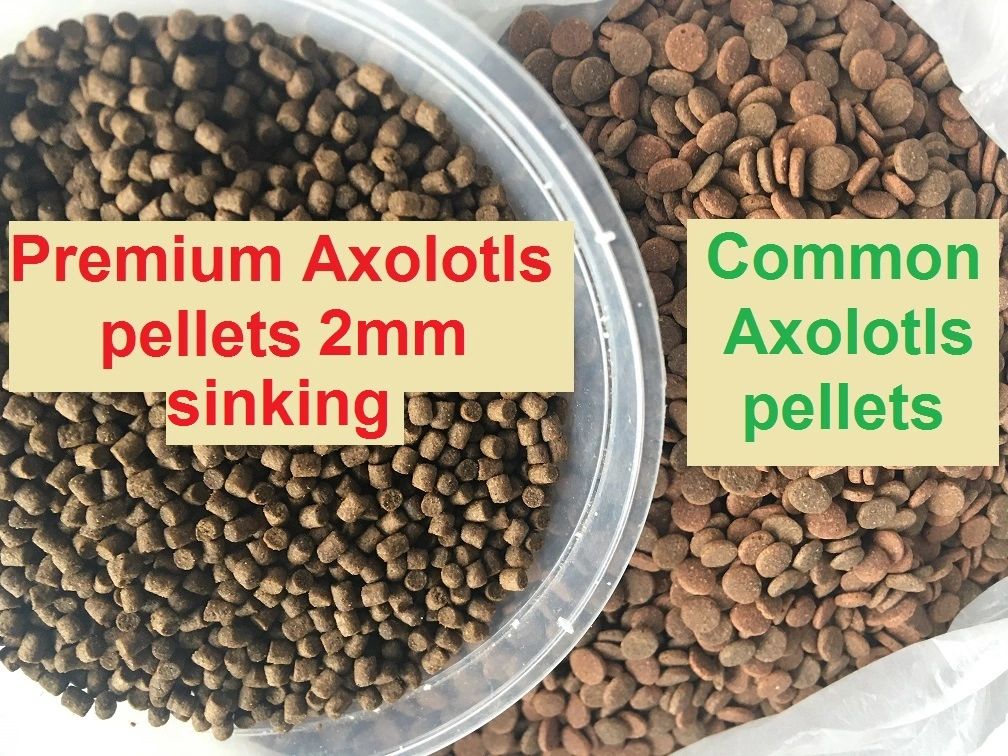 Axolotls pellets food