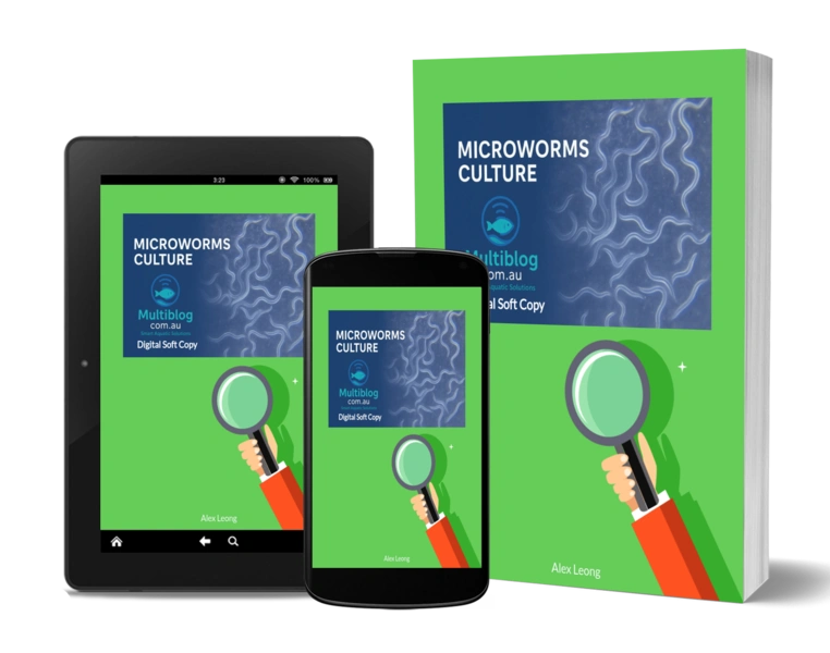 How to culture Microworms