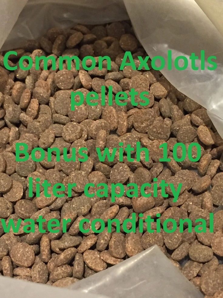 Common Axolotls pellets