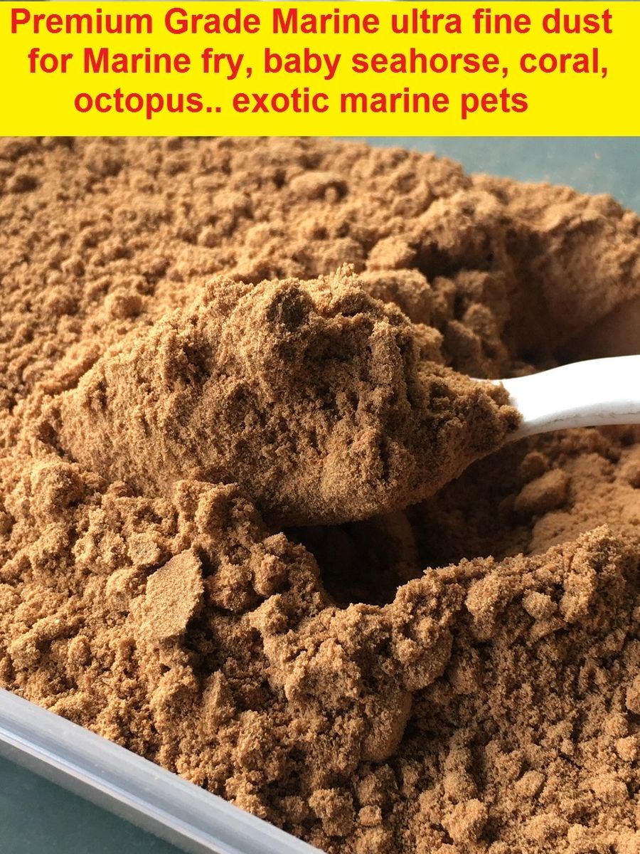 1st in Australia Marine ultra fine dust for first bite