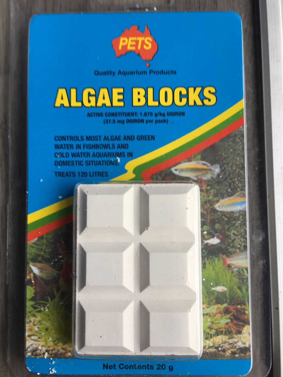 Algae block