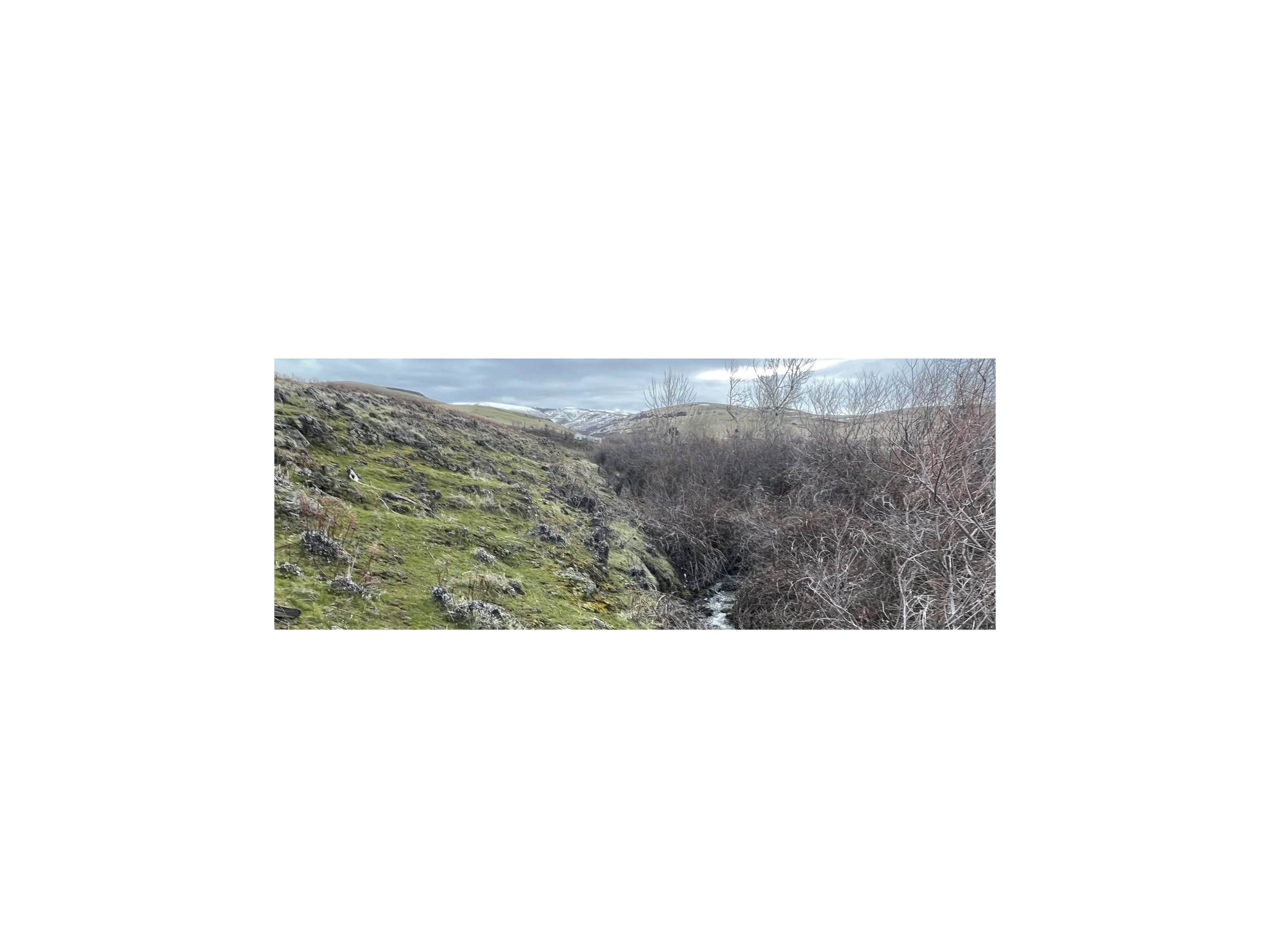 Umatilla Basin Watershed Council
