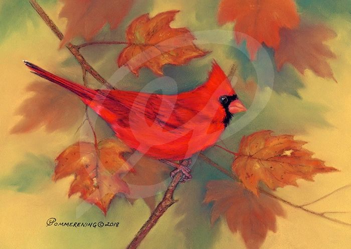 Art By Gail - Artwork - Autumn Beauty @ Gail Pommerening Studio
