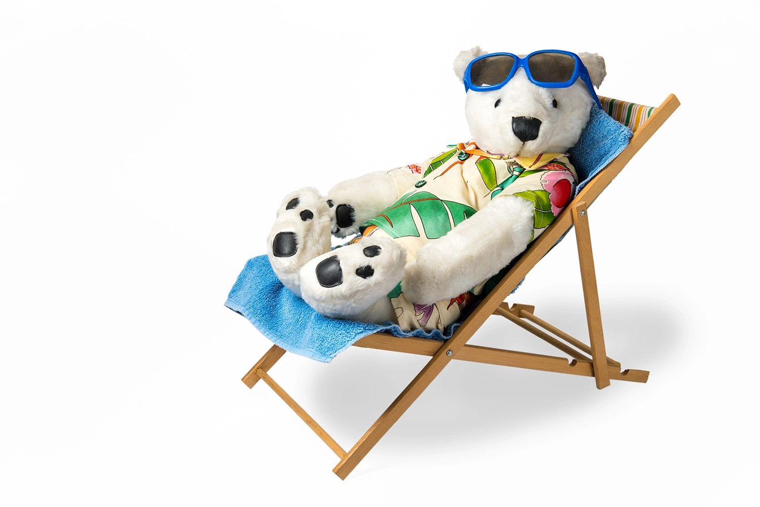 Delaney's Bear House - Teddy Bear Joints, Teddy Bear Disks