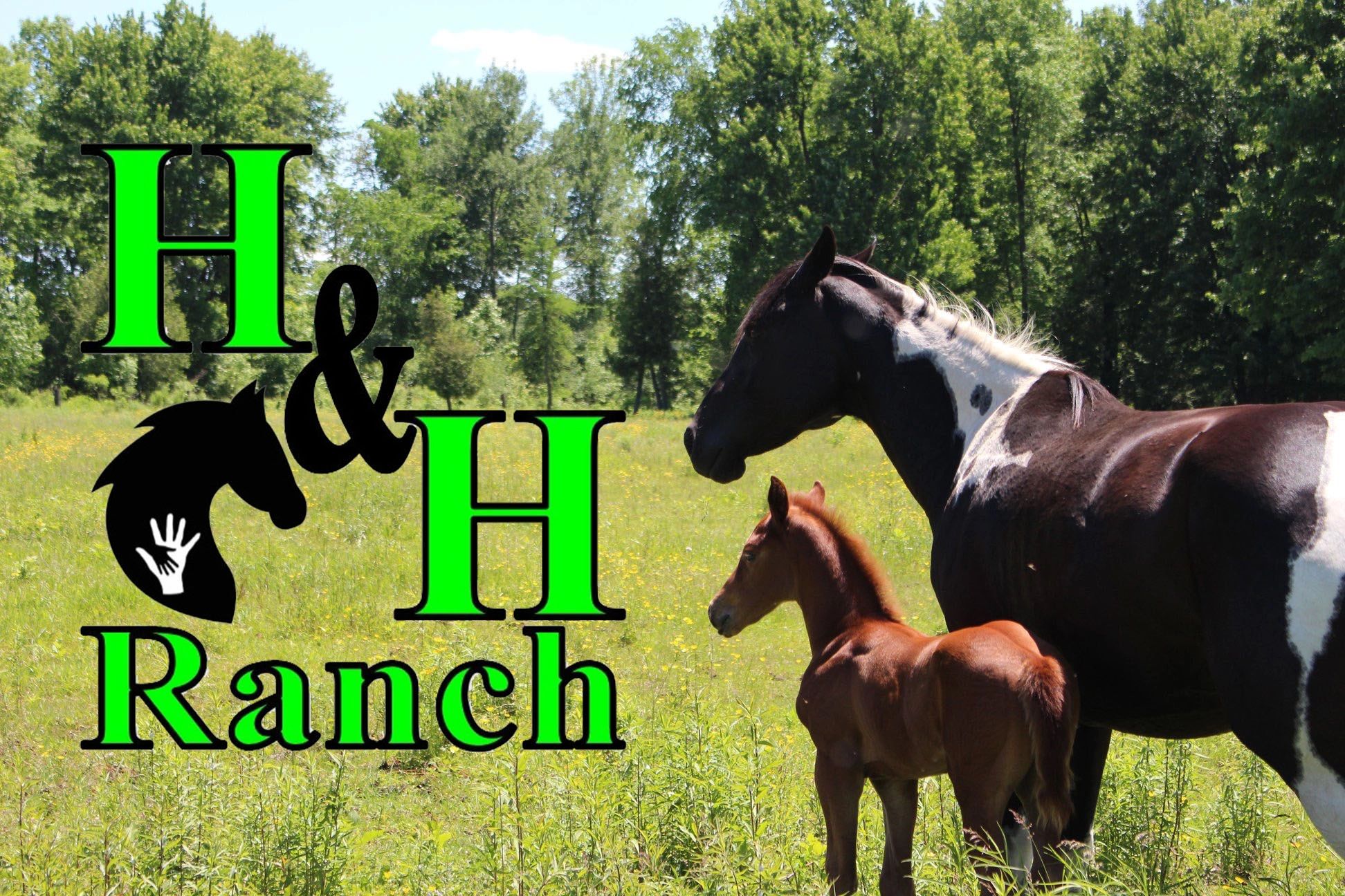 H&H Ranch