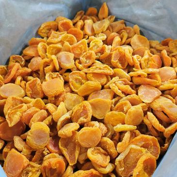 Evolution Foods International