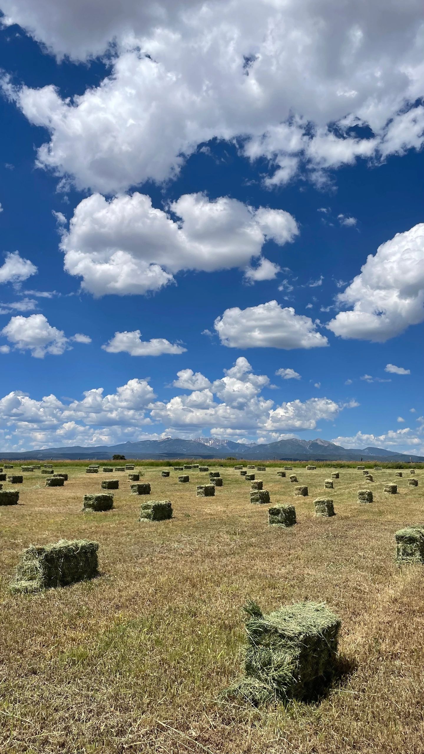 Gallery | Schmitt Ranches