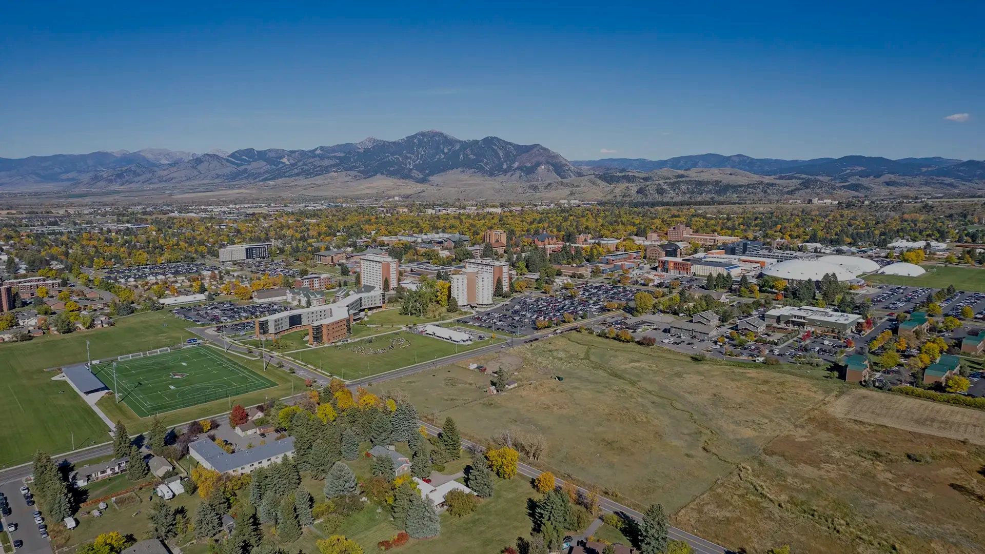 Bozeman BS & Beer